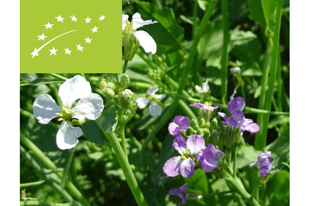 El. parduotuvė Agrolitpa.lt